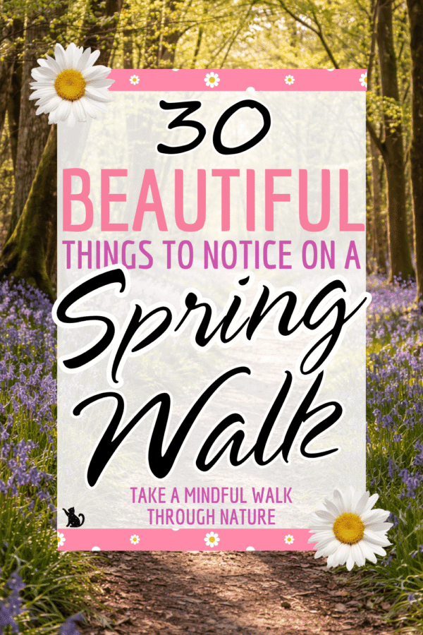 30 Things to Notice On a Spring Walk - Captivating Crazy